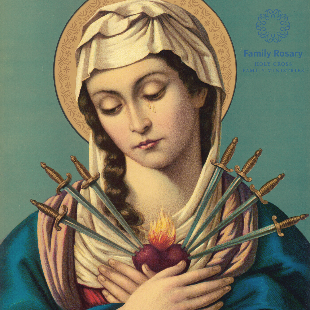 Our Lady of Sorrows | Join Us for Mass and Fellowship | Holy Cross ...